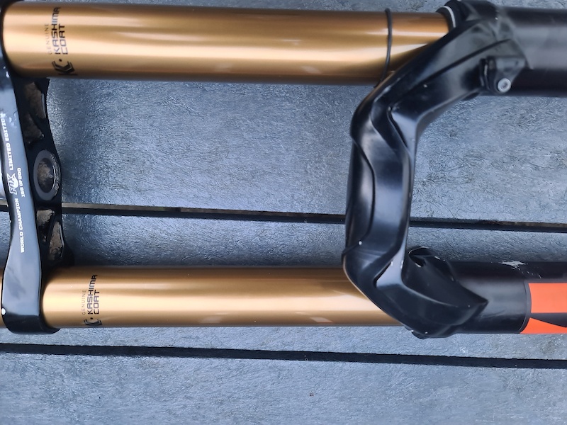 2019 Fox 40 29 factory forks For Sale