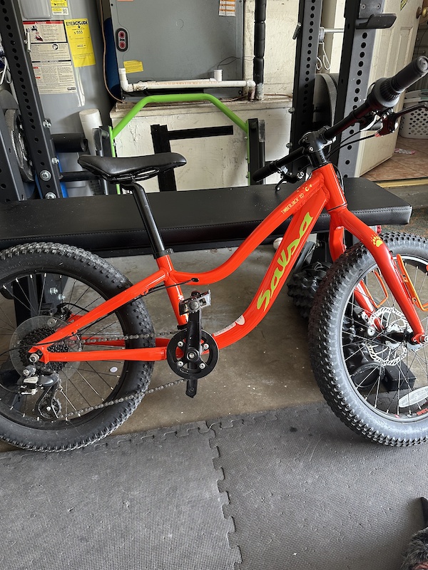 2020 Salsa Timberjack 20 For Sale