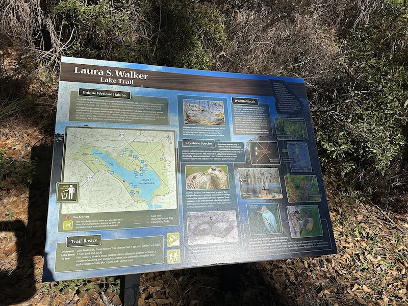 Lake Trail Multi Trail - Hoboken, Georgia | Trailforks