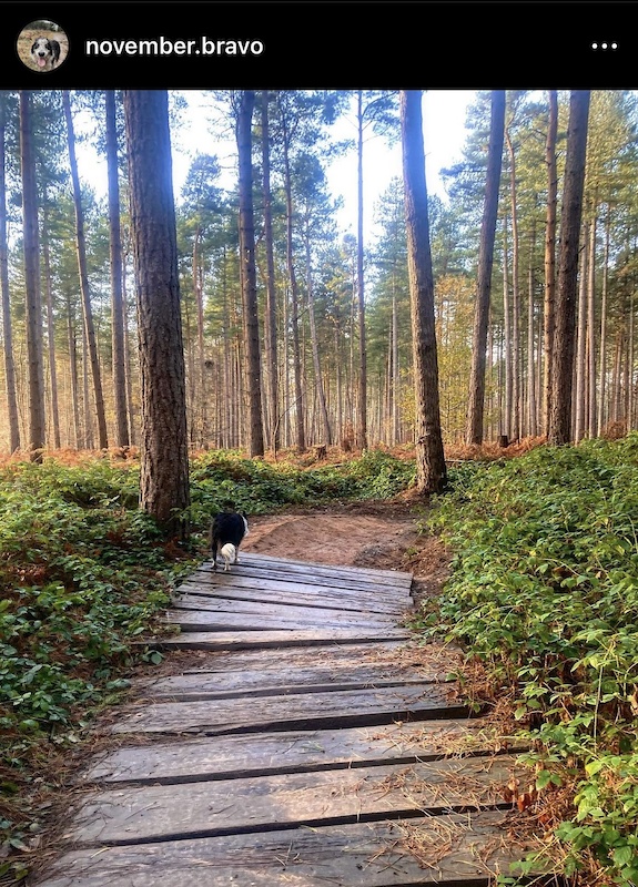 Donkey Walloper Mountain Biking Trail - Mansfield