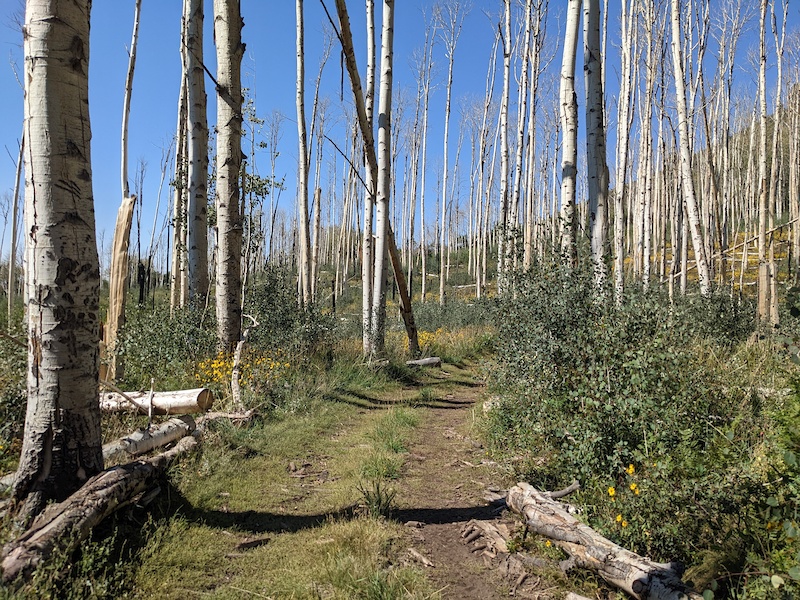 Burro Creek Trail Multi Trail - Uravan, Colorado