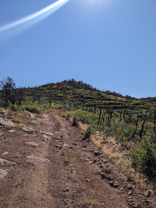 Burro Creek Trail Multi Trail - Uravan, Colorado