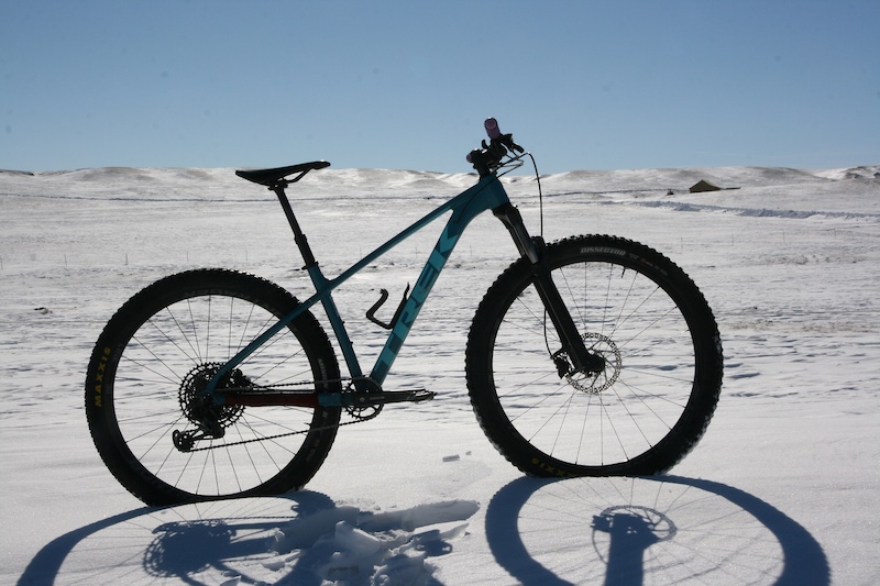 2020 Trek Roscoe For Sale