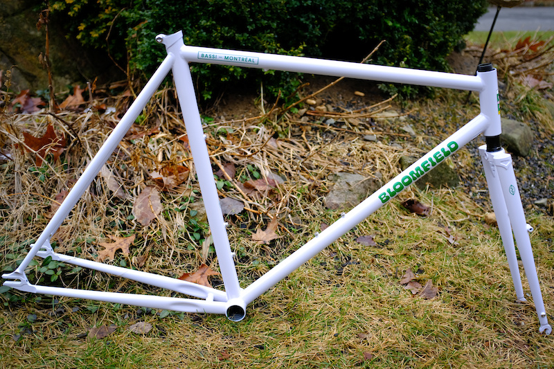 2022 Bassi Bloomfield SS/Fixed Gear 50.5cm Frameset For Sale