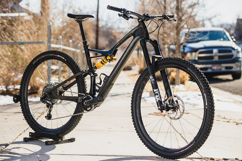 2017 Custom Specialized Stumpjumper Pro carb 29 size Large For Sale