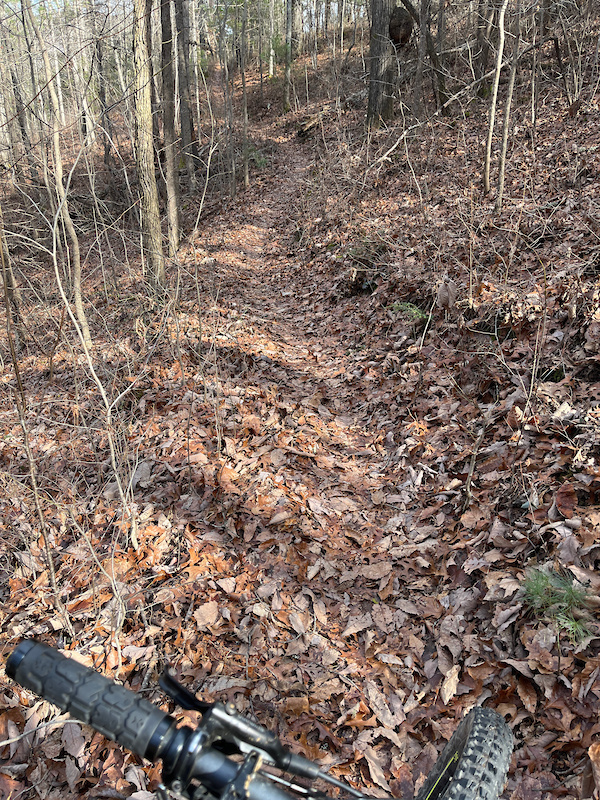 HAMR Summer Shred 14mi Mountain Biking Route | Trailforks