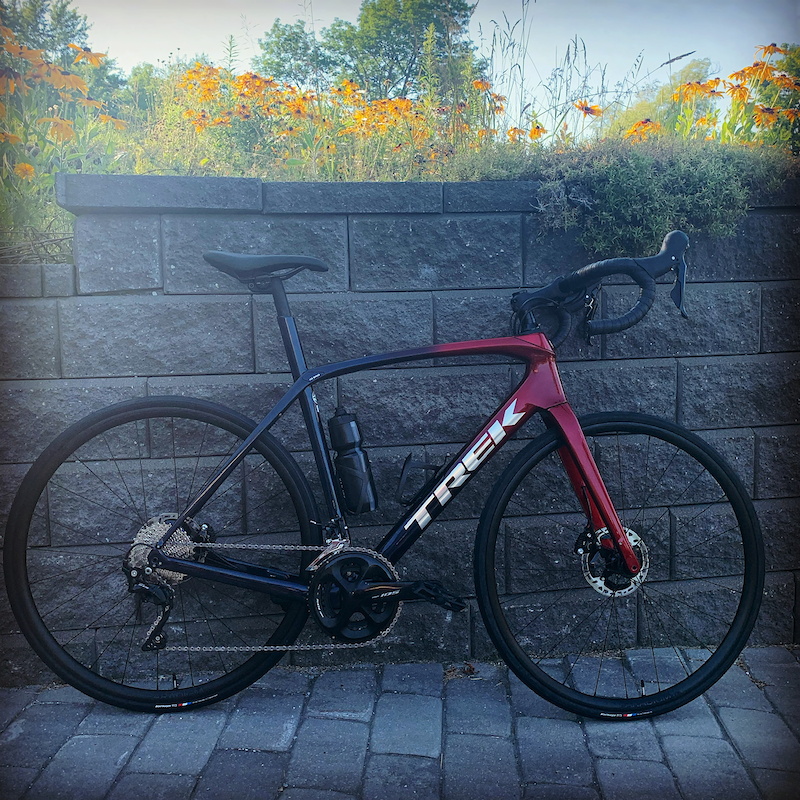 2022 Domane SL 5 For Sale