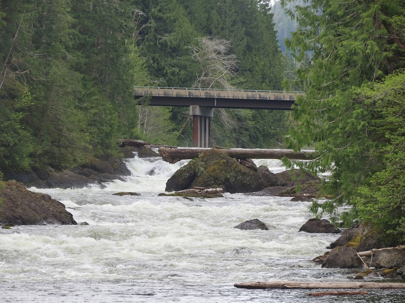Marble River Trail Hiking Trail - Port Alice, BC