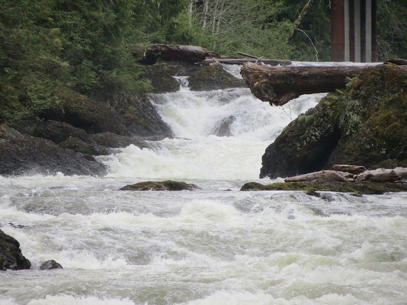Marble River Trail Hiking Trail - Port Alice, BC