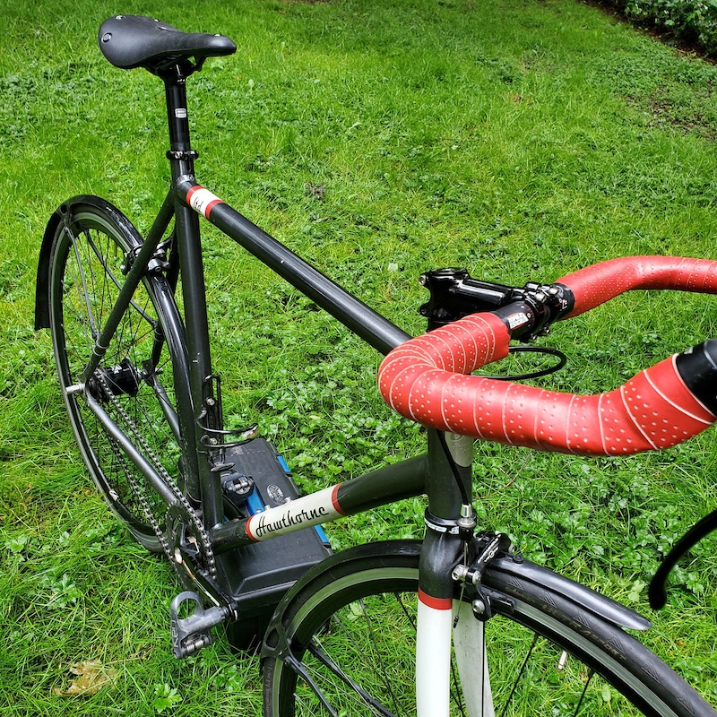 2013 54cm custom single speed with 2 speed kickback hub For Sale