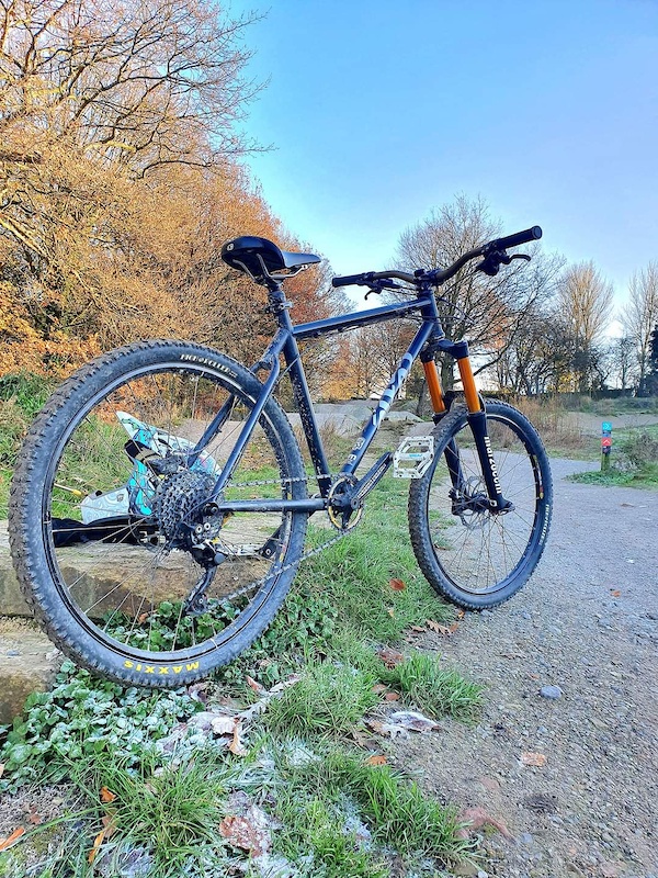 Cotic BFE Steel Hard tail sz L For Sale