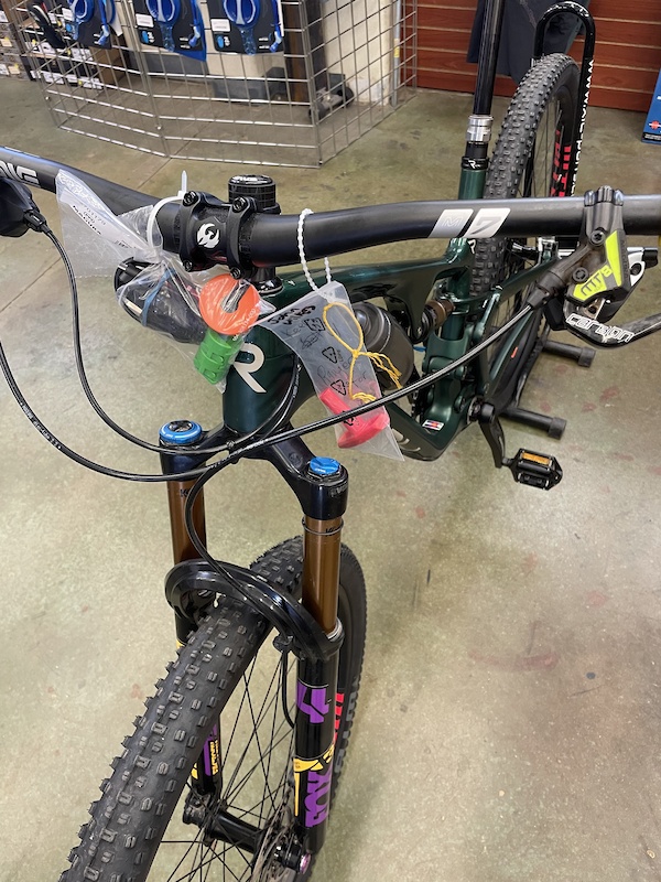 Revel Ranger (Large) For Sale