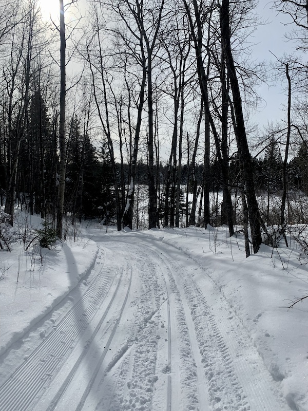 Feb 18, 2023 Grey Owl Trail Trail Report | Trailforks