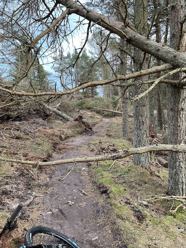 Tomb Steen Mountain Biking Trail - Inverurie