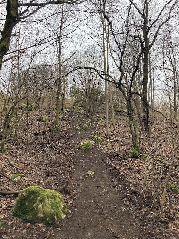 Motyl Mountain Biking Trail - Lasy Tynieckie, Kraków