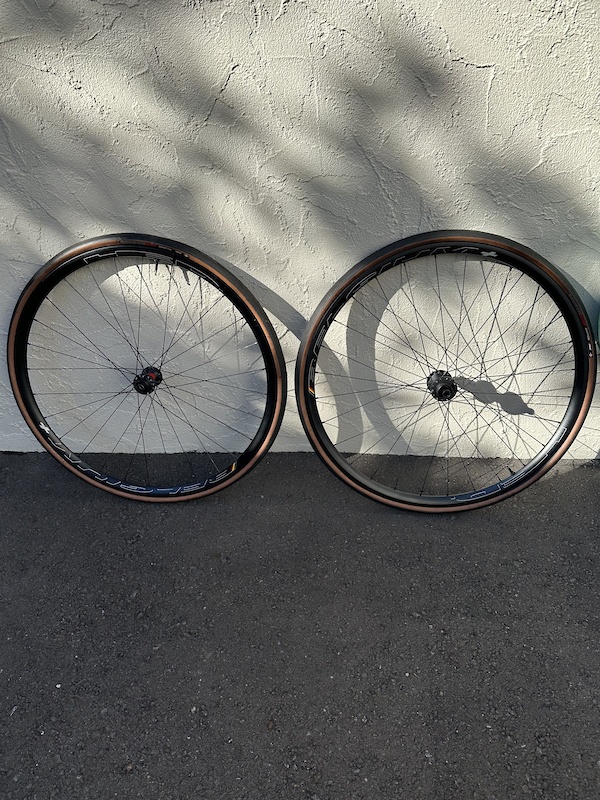 2022 Hed Belgium Disc Plus Dt Swiss 240 hubs Campy For Sale