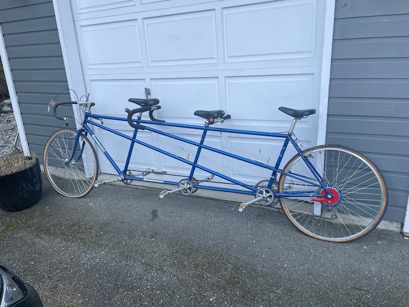 TRIPLE For Sale