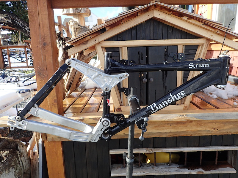 2004 Screamin' Like A Banshee For Sale