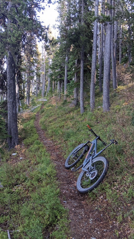 Up Up Ridge Multi Trail - Saltese, MT | Trailforks