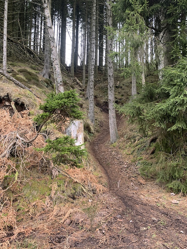 Gully Gully Gully Mountain Biking Trail - Laurencekirk