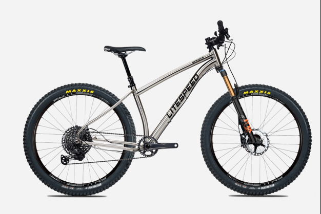 2021 Litespeed Pinhoti III Ti Medium Hardtail 29er For Sale