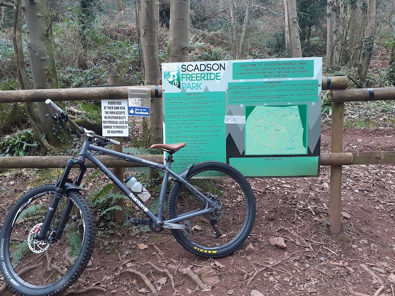 Stanton Switchback Large Frame only For Sale