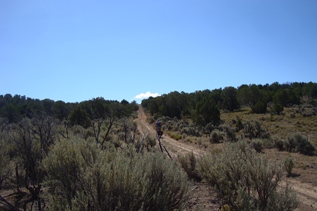 Paradox Trail - Nucla to Tabeguache Creek Mountain Biking Trail - Nucla