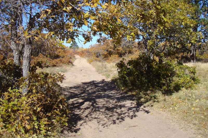 FS 425 to the Paradox Trail via the Tongue and Little Johnson Creek ...