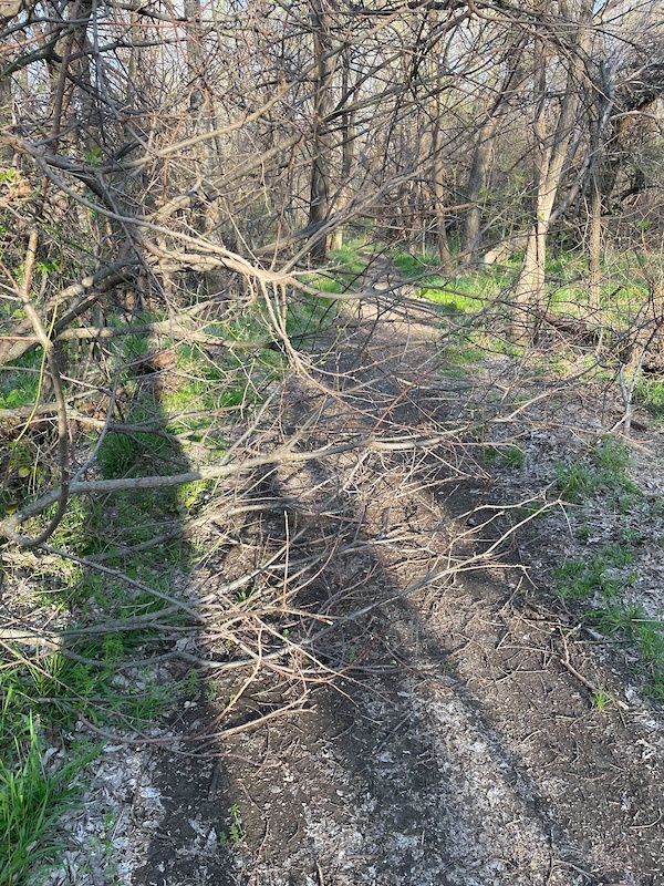 Gray Branch Parkland - Loop 2 Multi Trail - McKinney