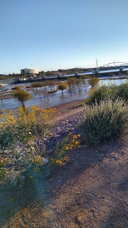 Rio Salado Pathway Multi Trail - Tempe, AZ | Trailforks