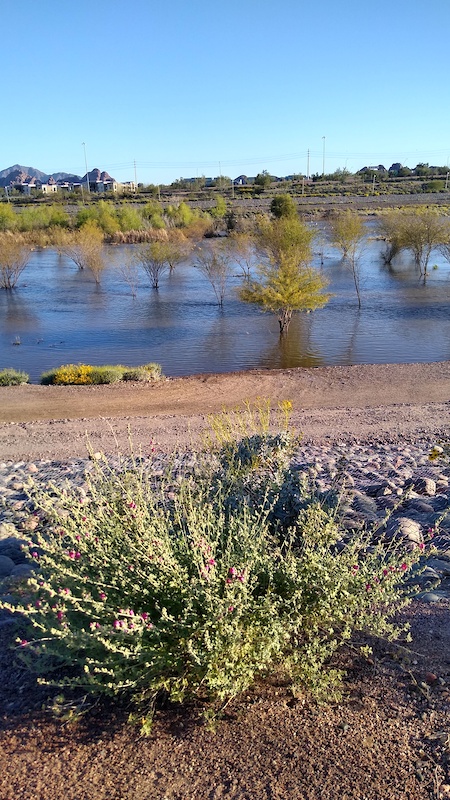 Rio Salado Pathway Multi Trail - Tempe, AZ | Trailforks