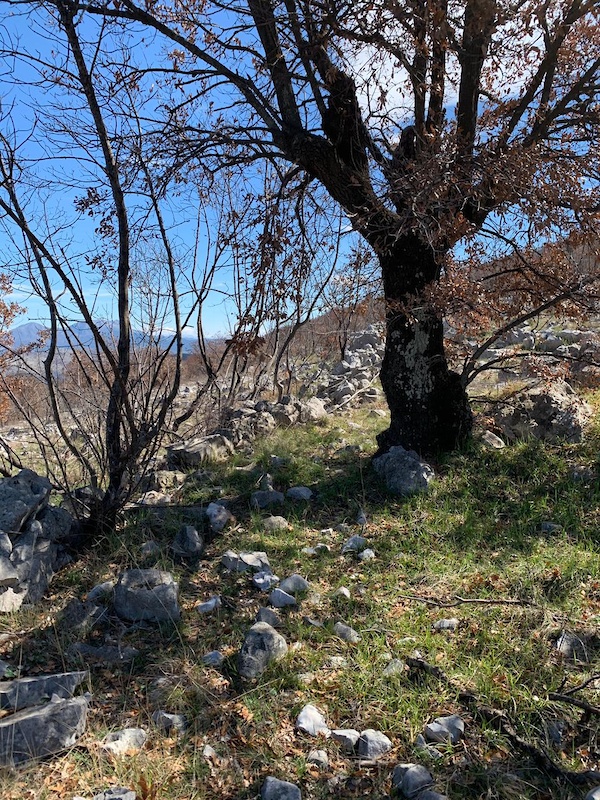 Kisha e Shën Nikollit - Rrjollë Hiking Trail