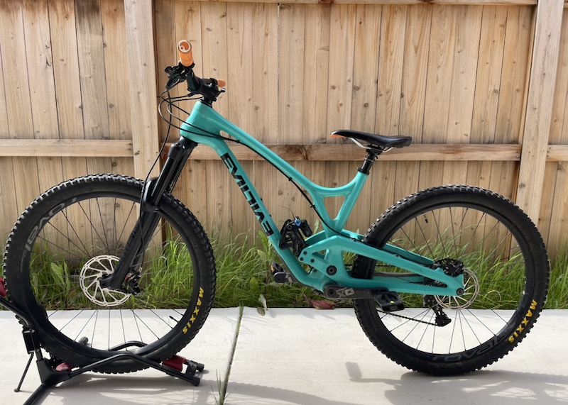 2018 Evil Calling Medium Angry Dolphin For Sale