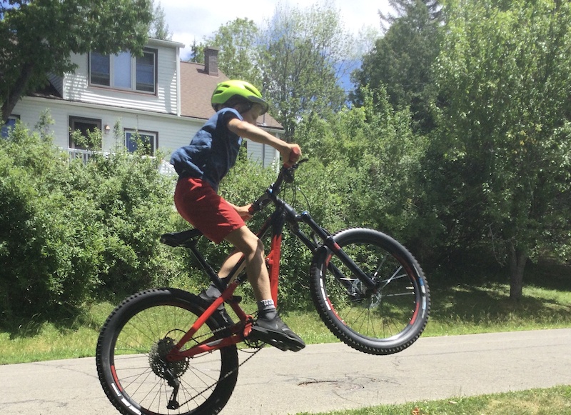 2022 Excellent condition polygon Siskiu D24x For Sale