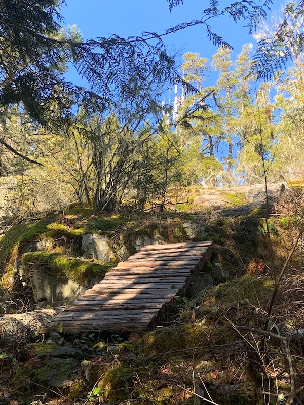 My favorite loop Mountain Biking Route | Trailforks
