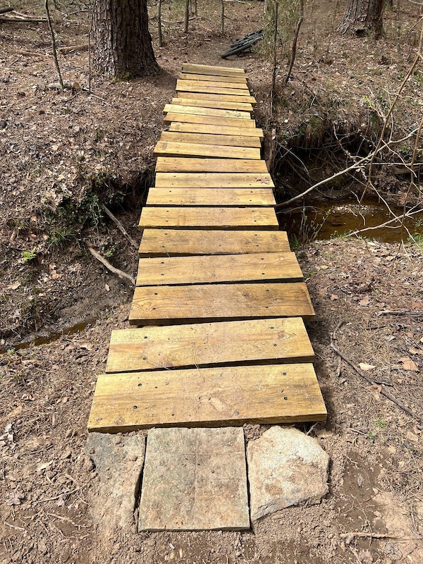 Gnarnia Exit Extension Mountain Biking Trail - Woodstock