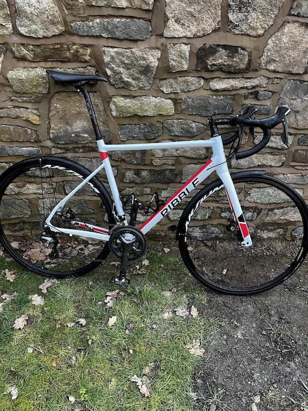 2021 Ribble endurance al For Sale