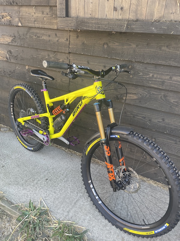 2022 Bird AM9, Size Large For Sale