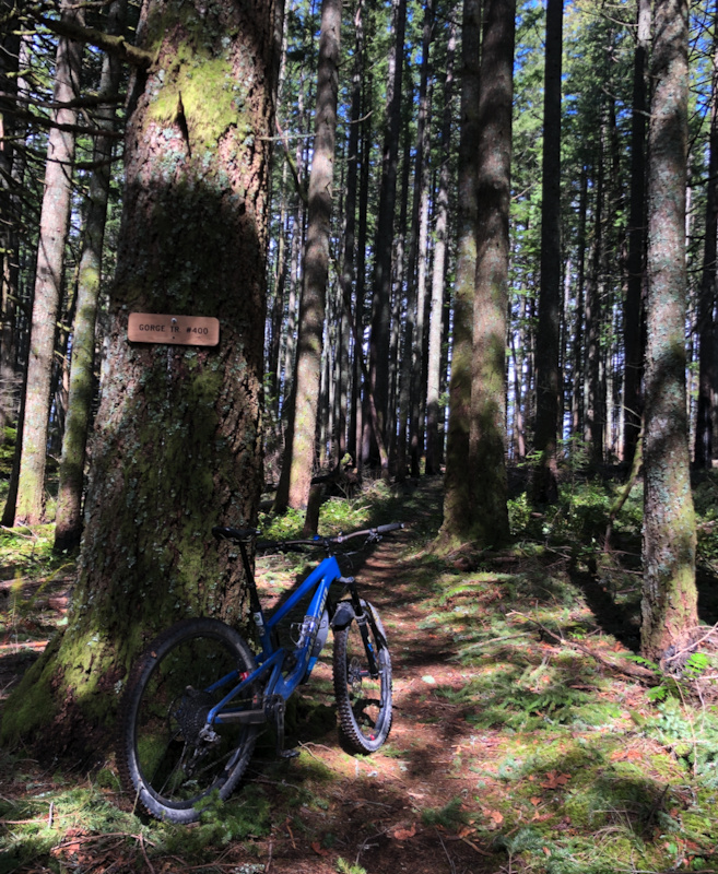Gorge Trail Mountain Biking Trail - Cascade Locks, Oregon