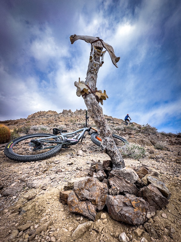 Tomahawk Ridge Multi Trail - Las Vegas, Nevada