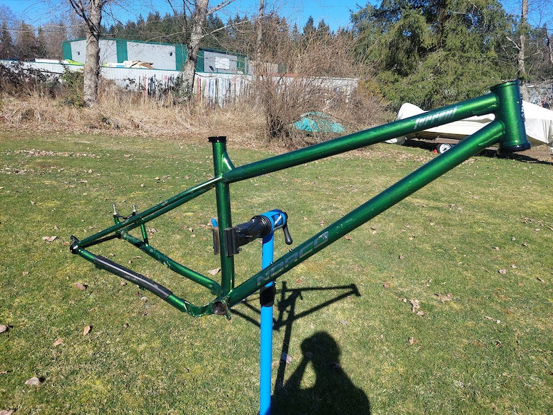 2021 Large norco torrent frame For Sale