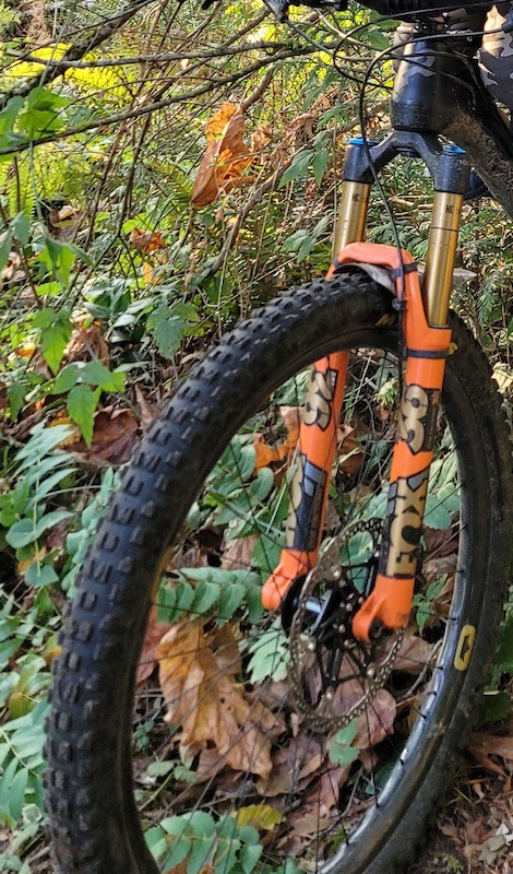 2019 Fox 36 factory 29 fit4 orange lowers For Sale