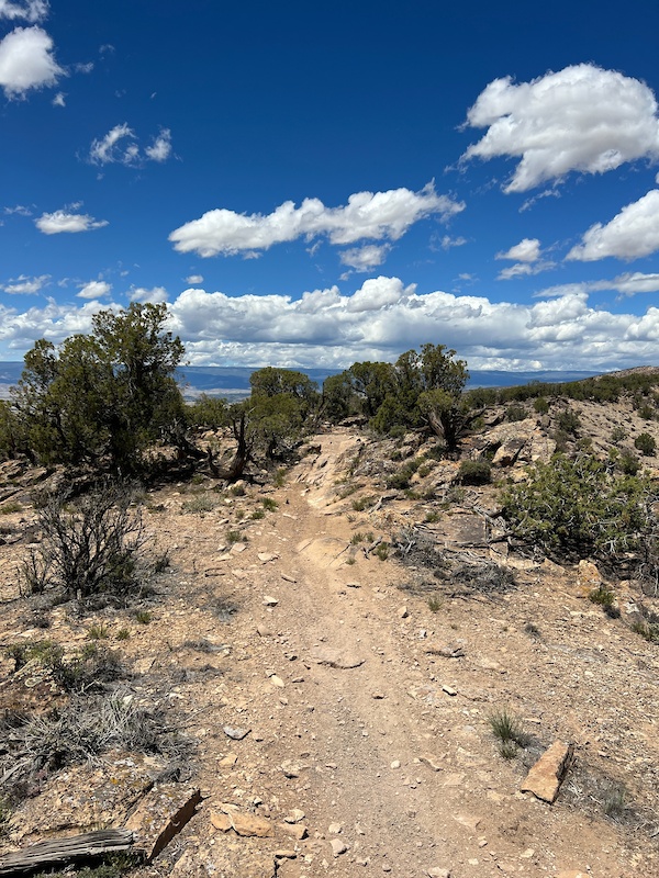Sidewinder Red Rocks Loop Mountain Biking Route | Trailforks