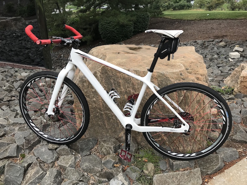 2019 Lowered my Price - Specialized Custom Carbon Fatboy For Sale