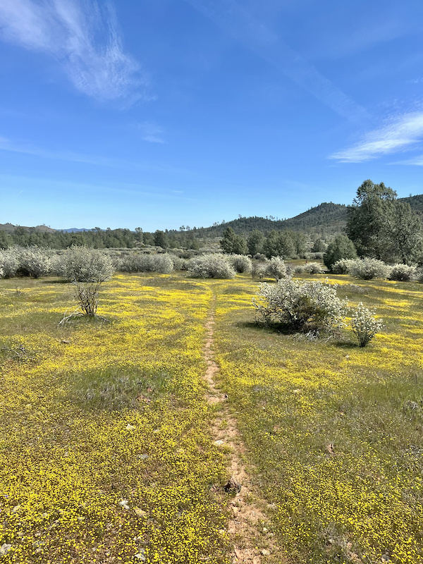 Red Hills - North Loop Plus Time Machine Mountain Biking Route | Trailforks