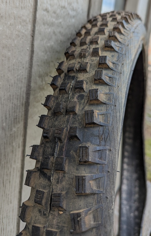 2022 Schwalbe Magic Mary DH For Sale