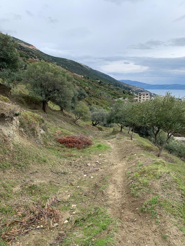 Ali Demi Trail Hiking Trail - | Trailforks