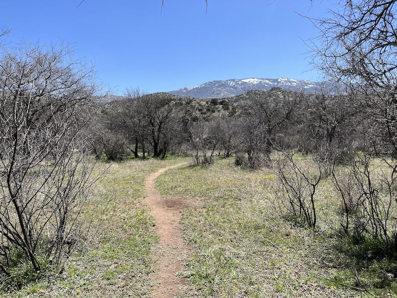 Arizona Trail: Passage 9 - Rincon Mountains Hiking Route | Trailforks