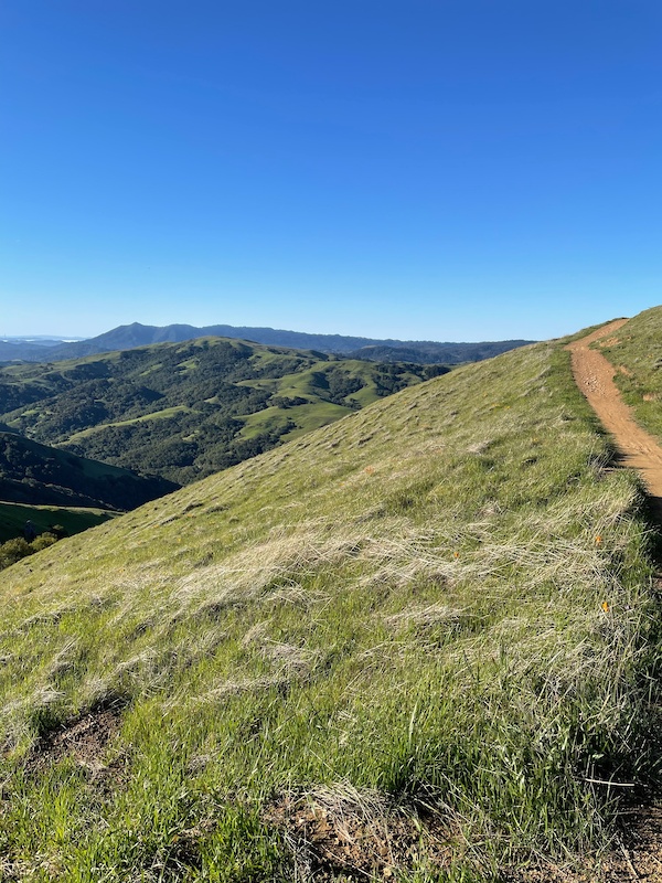 Chicken Shack Triple Loop Mountain Biking Route | Trailforks