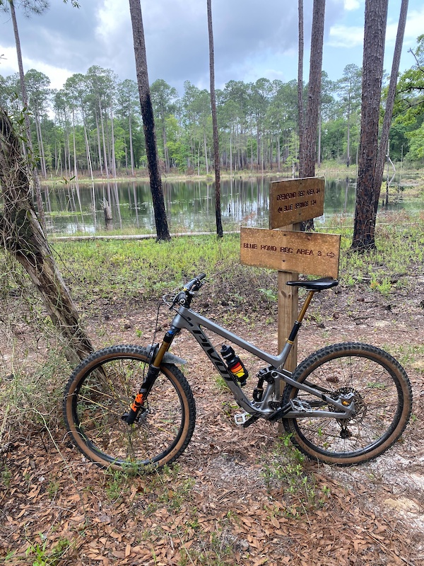 Conecuh South Loop Trail Multi Trail - - Alabama